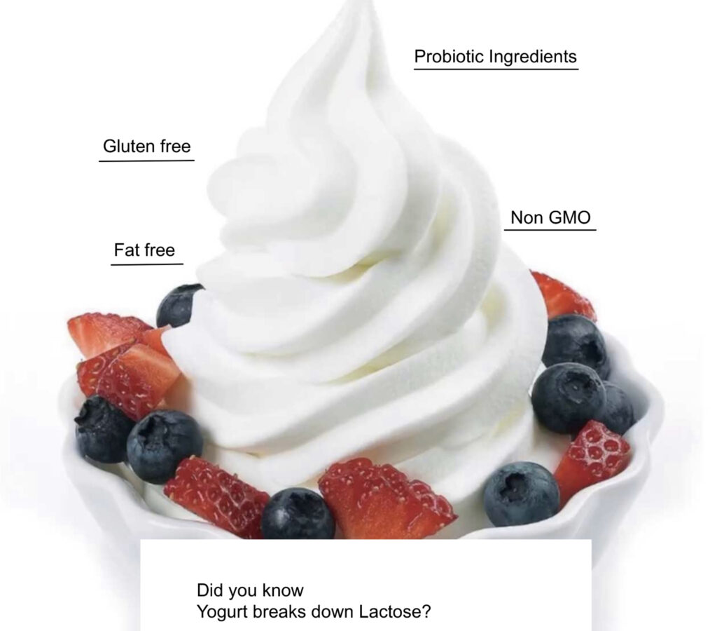 Frozen Yogurt Mix | Pumjilb2b